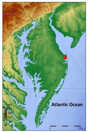 17th-century life revealed at Avery’s Rest - Division of Historical and ...