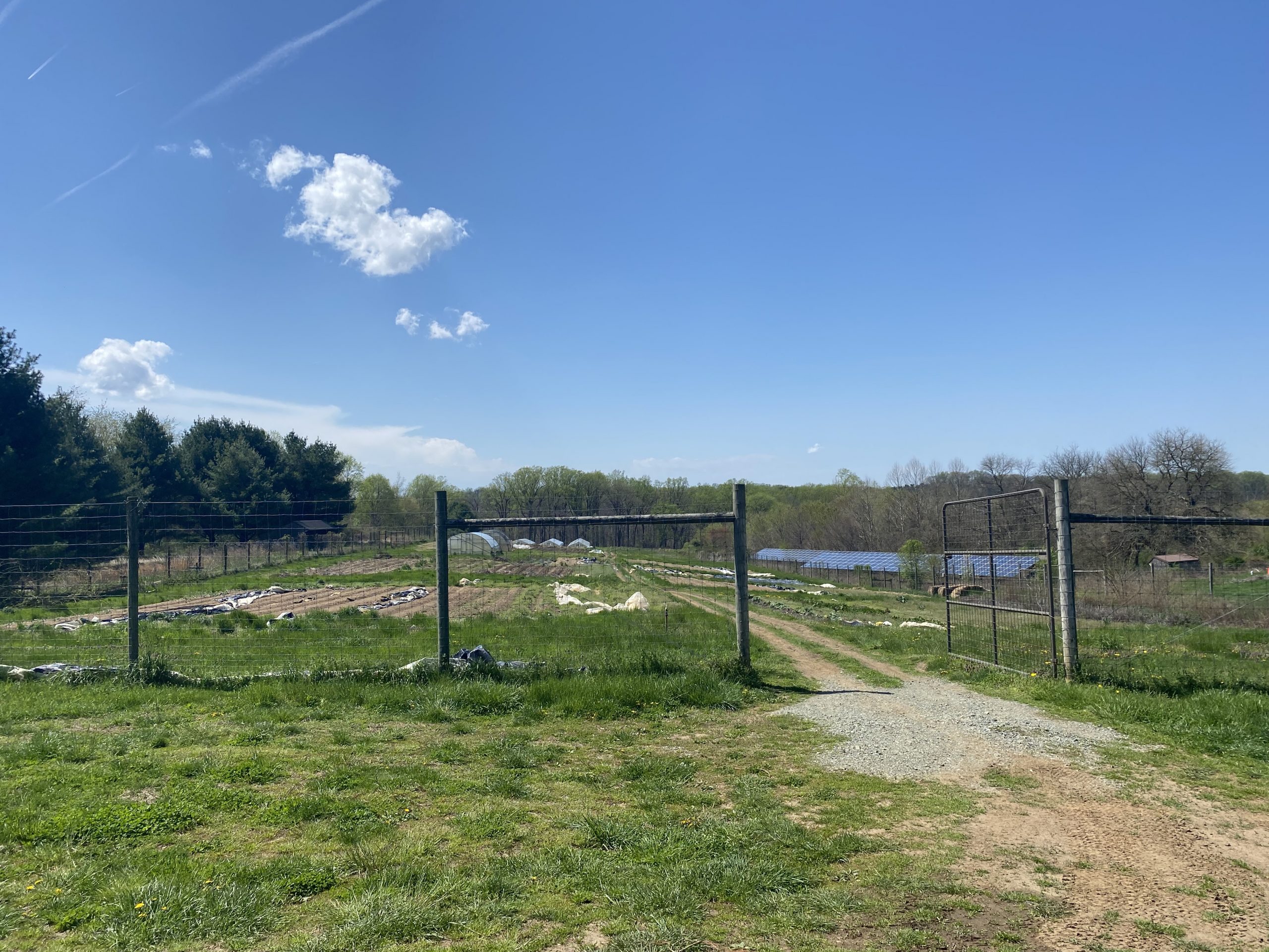 Shades of Spring 2024 across First State historic sites - Division of ...