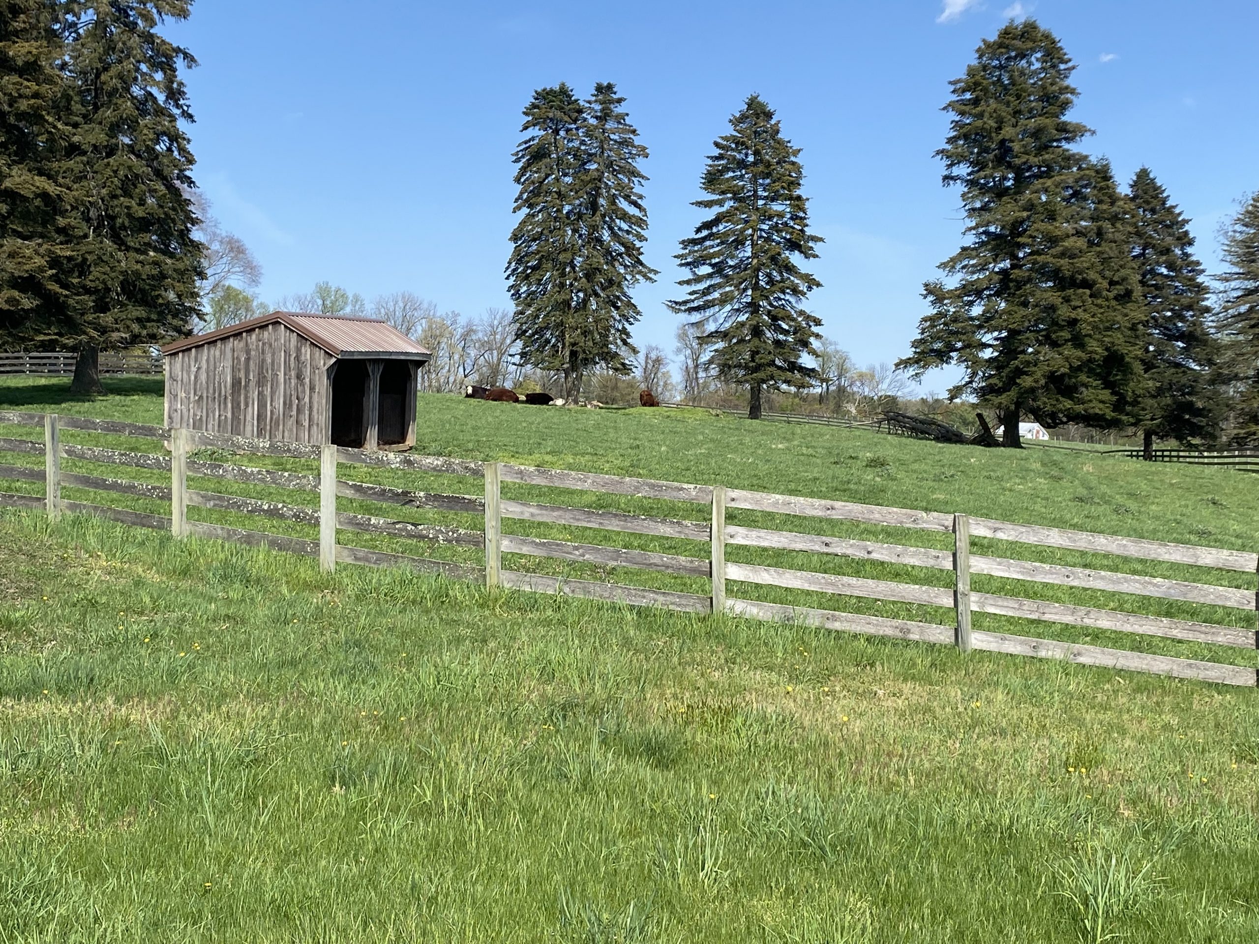 Shades of Spring 2024 across First State historic sites - Division of ...