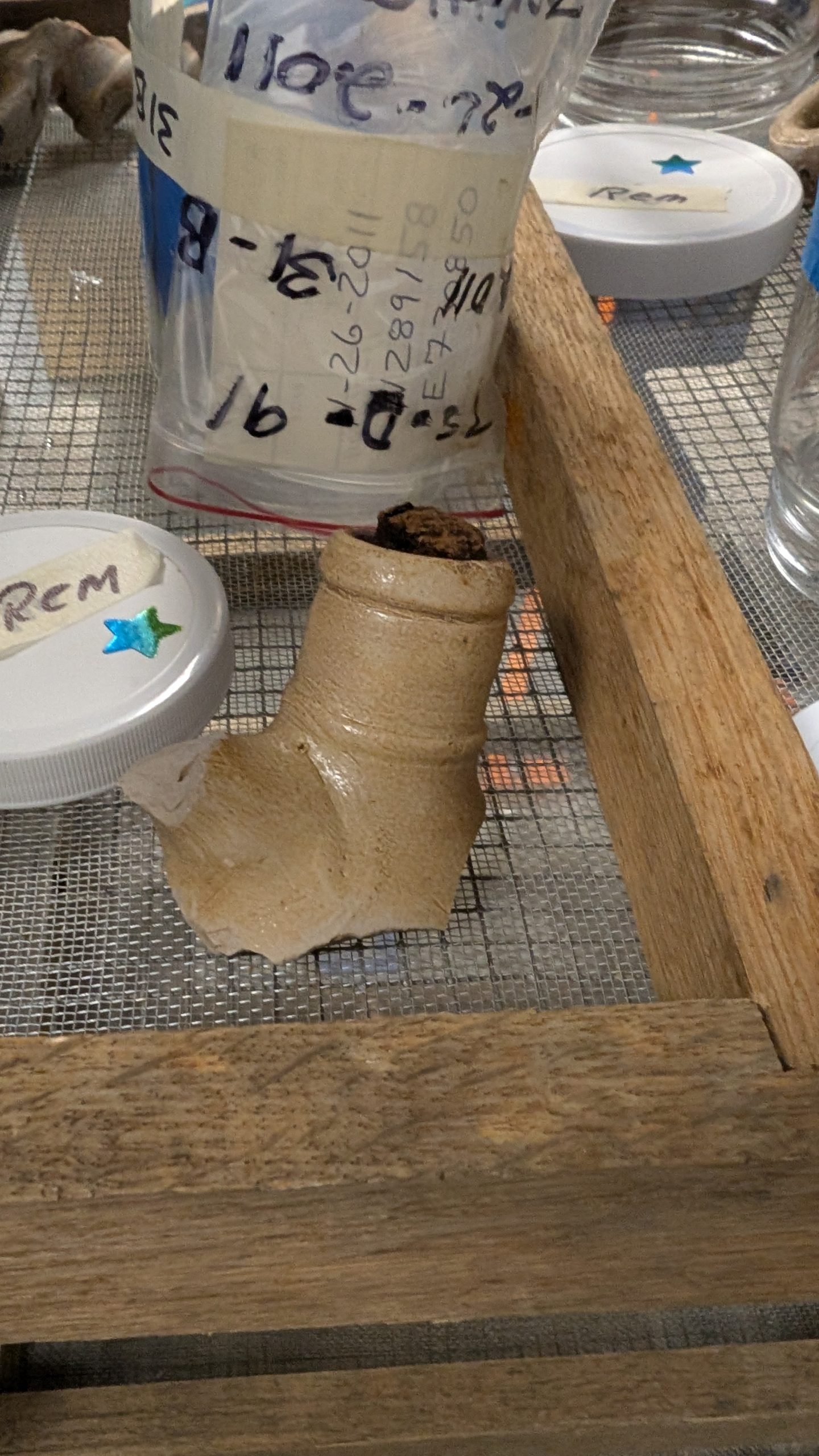 Shipwreck artifacts undergo months-long desalination process - Division ...