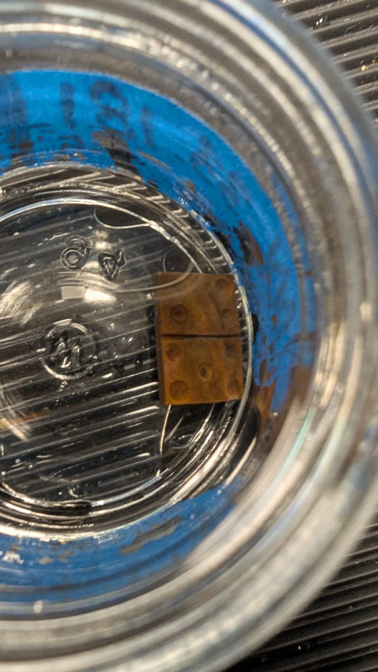 Shipwreck artifacts undergo months-long desalination process - Division ...